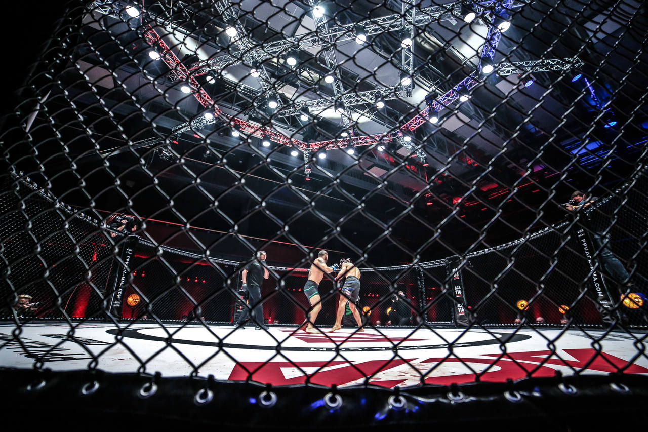 Elite Fighters: kursy, TYPY, zakłady bukmacherskie i karta walk 31.07.2021